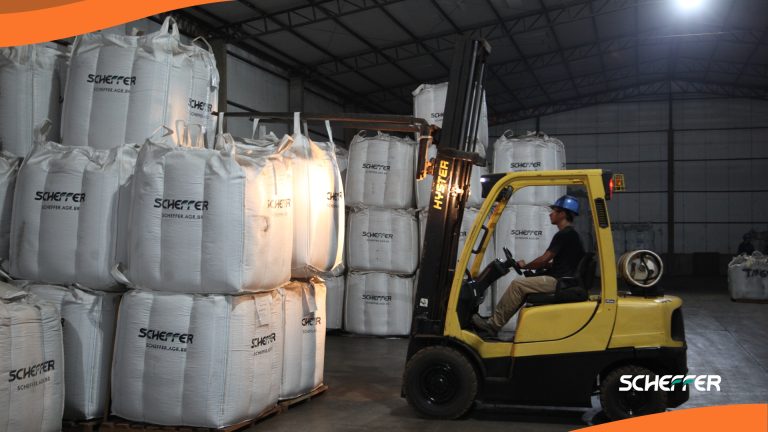 Estruturas - Scheffer