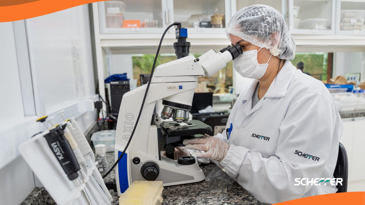 Estruturas - Scheffer