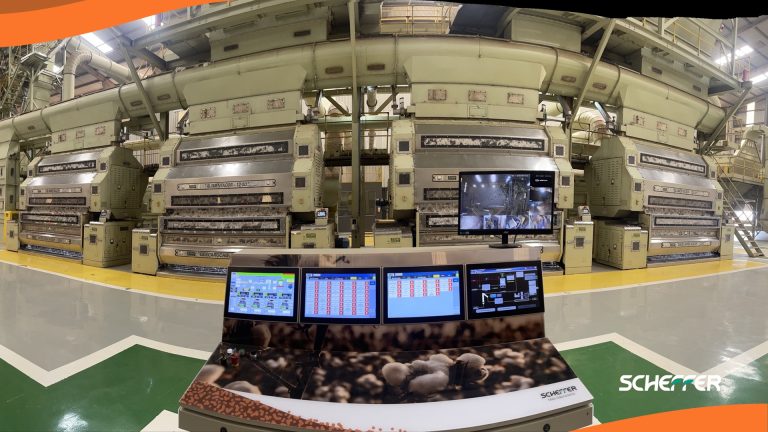 Estruturas - Scheffer