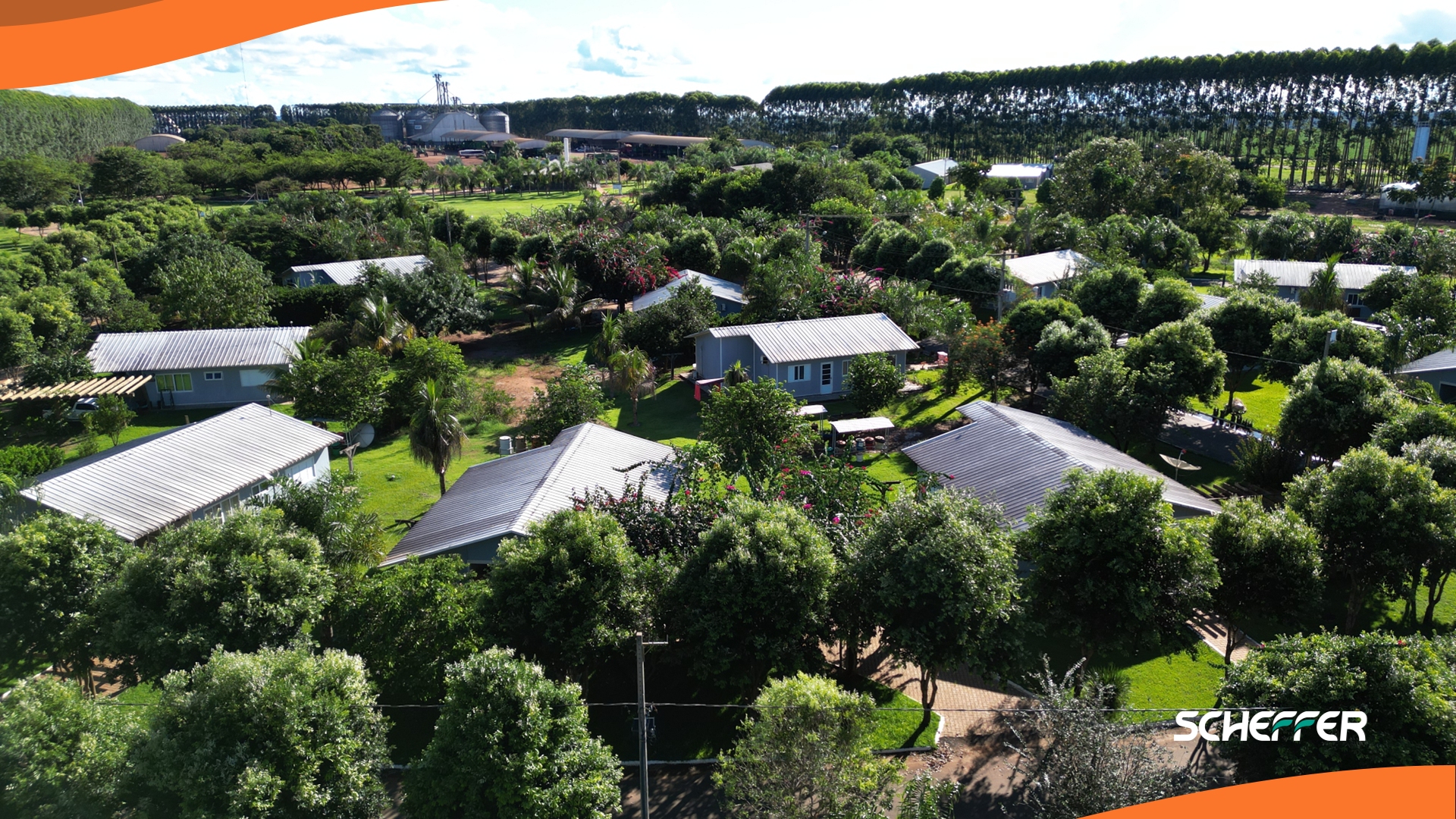 Estruturas - Scheffer