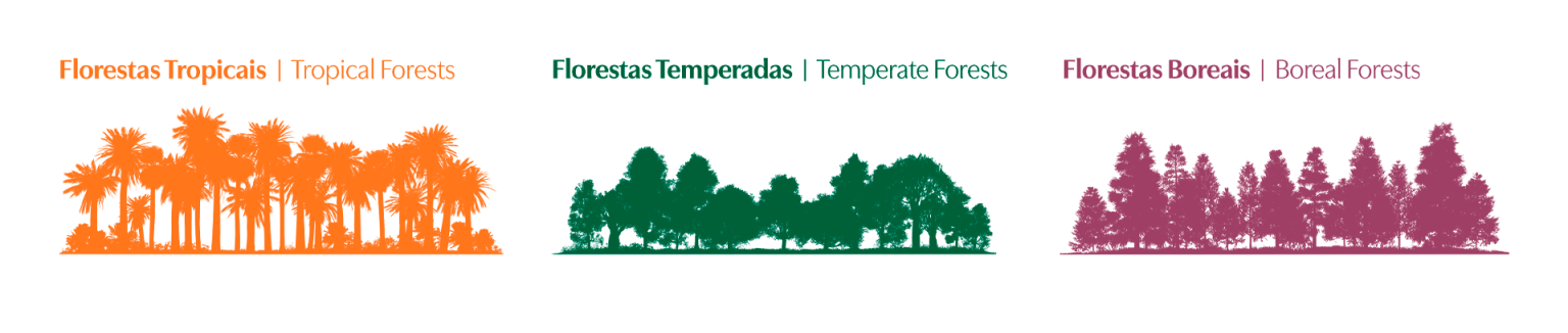 Florestas: Essenciais para o planeta - Scheffer